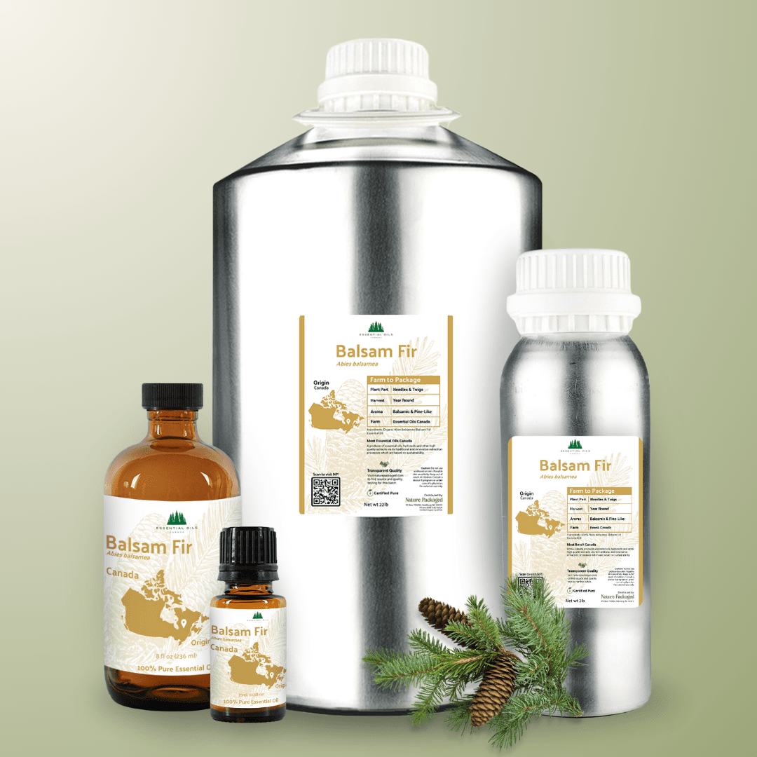 Balsam Fir Essential Oil - From Essential Oils Canada – Nature Packaged
