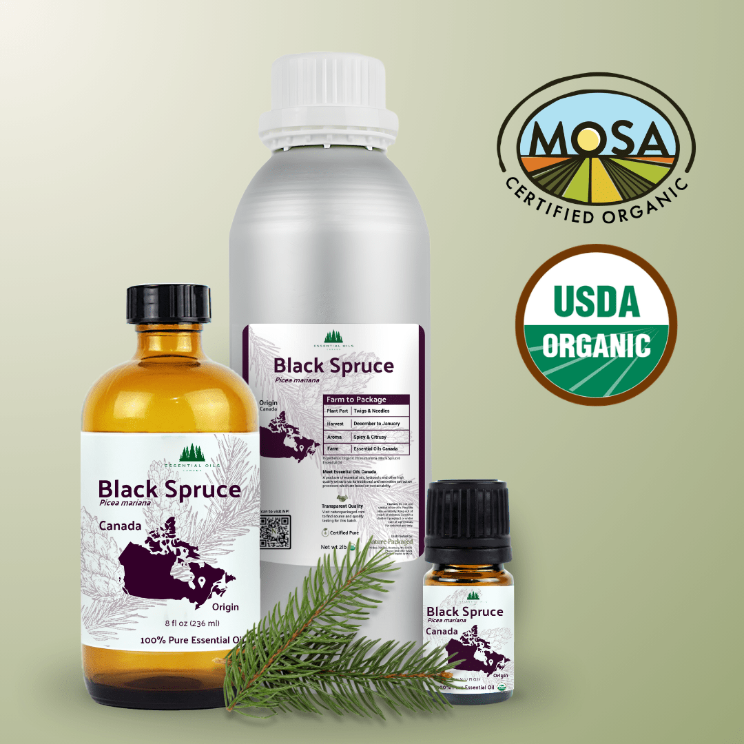 Organic Black Spruce Essential Oil - From Essential Oils Canada ...